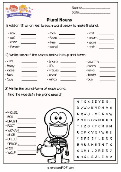 Write the plural form of each word - Exercises PDF
